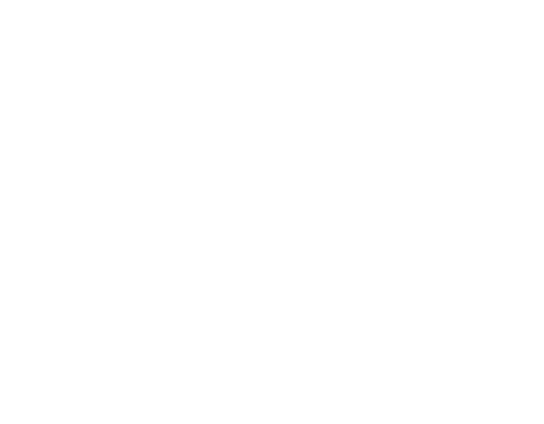 Our Portfolio – RED Malls